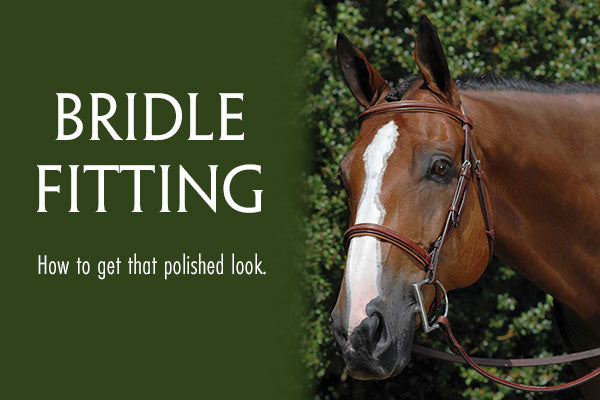 Secrets of A Proper Bridle Fit – World Equestrian Brands