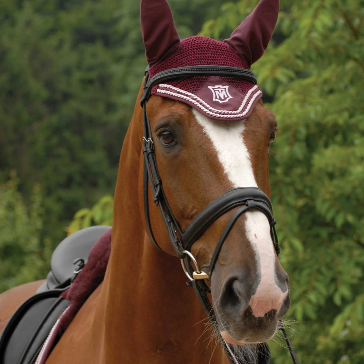 Ear Bonnets – World Equestrian Brands