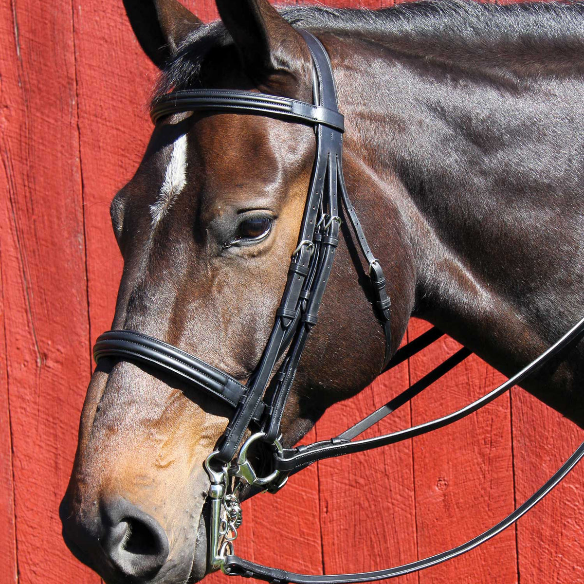 Vespucci Double Raised Weymouth Bridle, Single Crown – World Equestrian ...